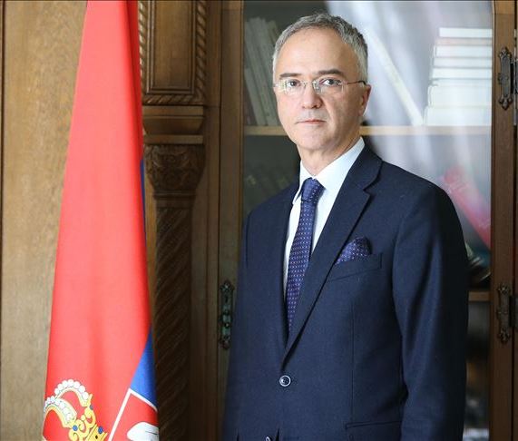 Ambasador Marković: Srpski turisti dobro, niko nije ugrožen ...